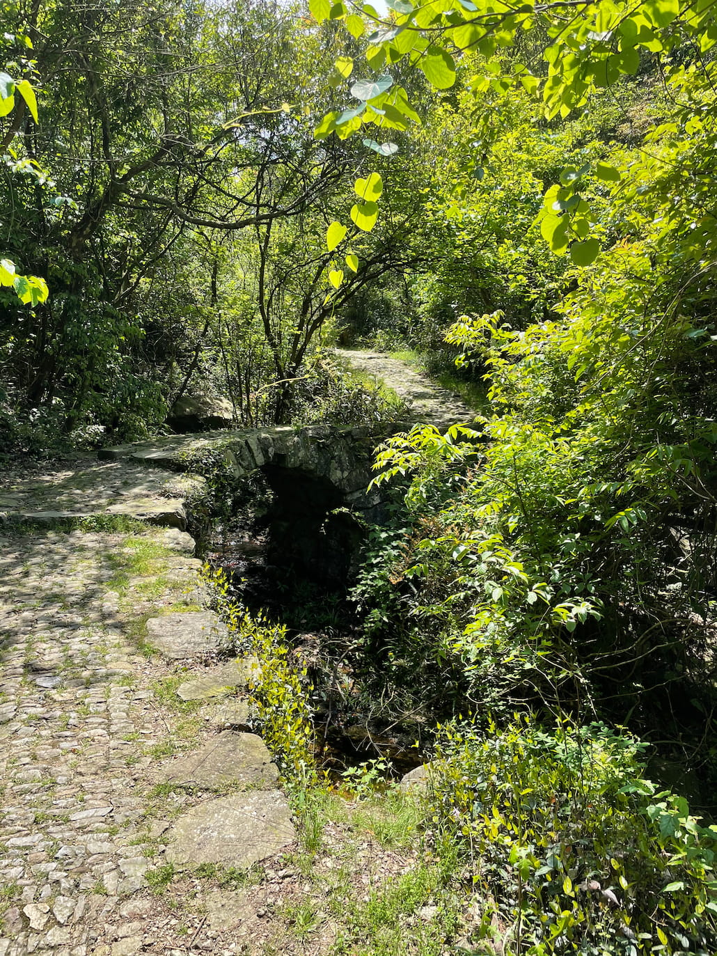 Hike Ningbo: Fuquan Shan - Matt Berti Blog